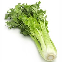 Zelenjava | seminaposebnaponudba