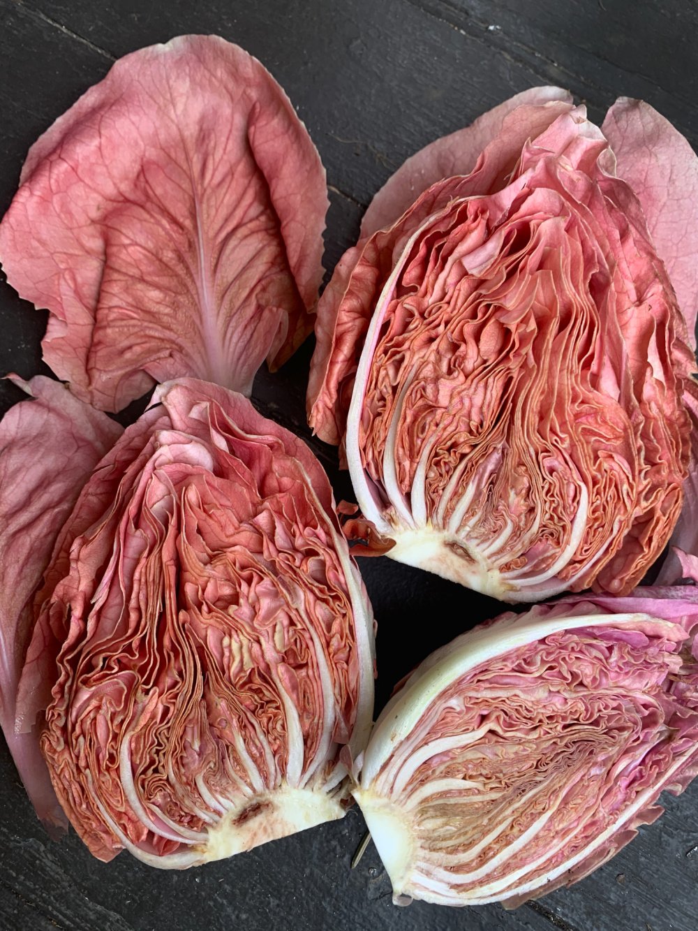 radič rossa di verona sel. lucifer | seminaposebnaponudba