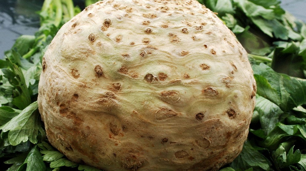 ZELENA, ZELENJAVA ALI ZAČIMBNICA? | semina