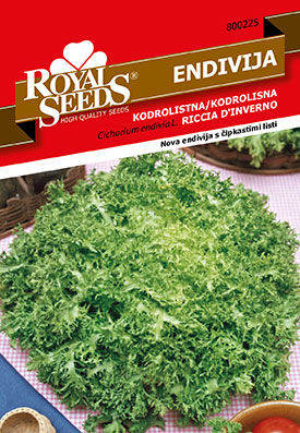 Endivija kodrolistna de louviers | semina