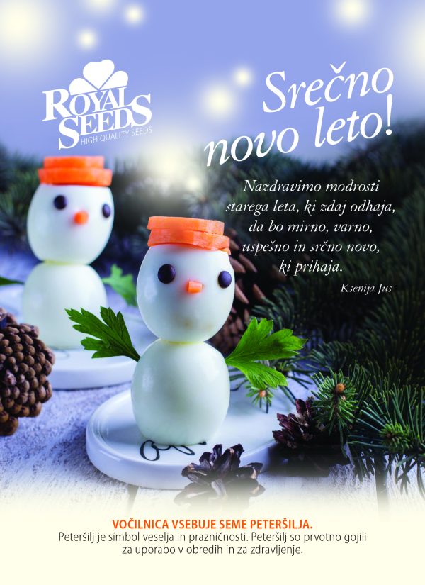 Voščilnica za Novo leto | semina