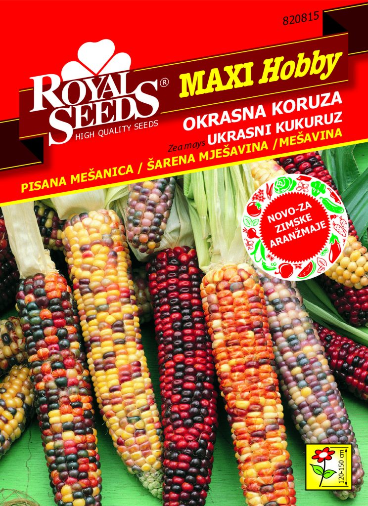 Okrasna koruza | semina