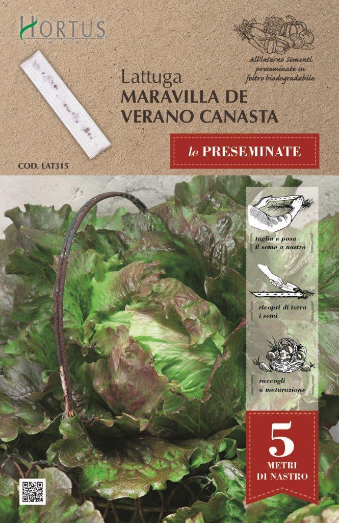 Seme na traku Solata Canasta | semina